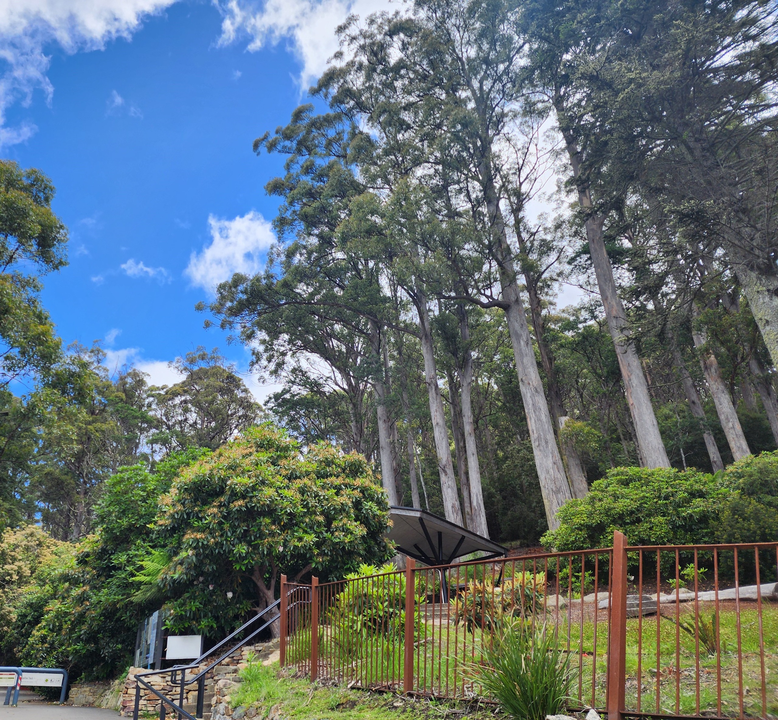 Fern Tree Pump Station Upgrade | Your Say