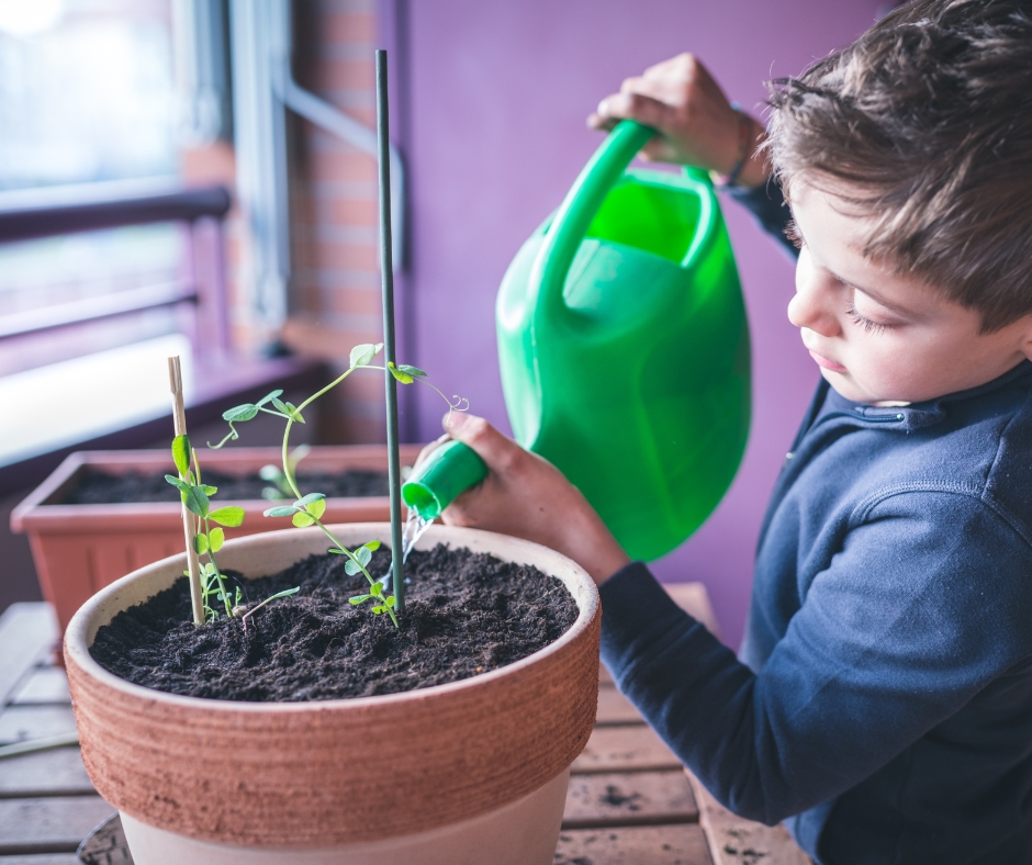 TasWater's Schools Water Efficiency Program