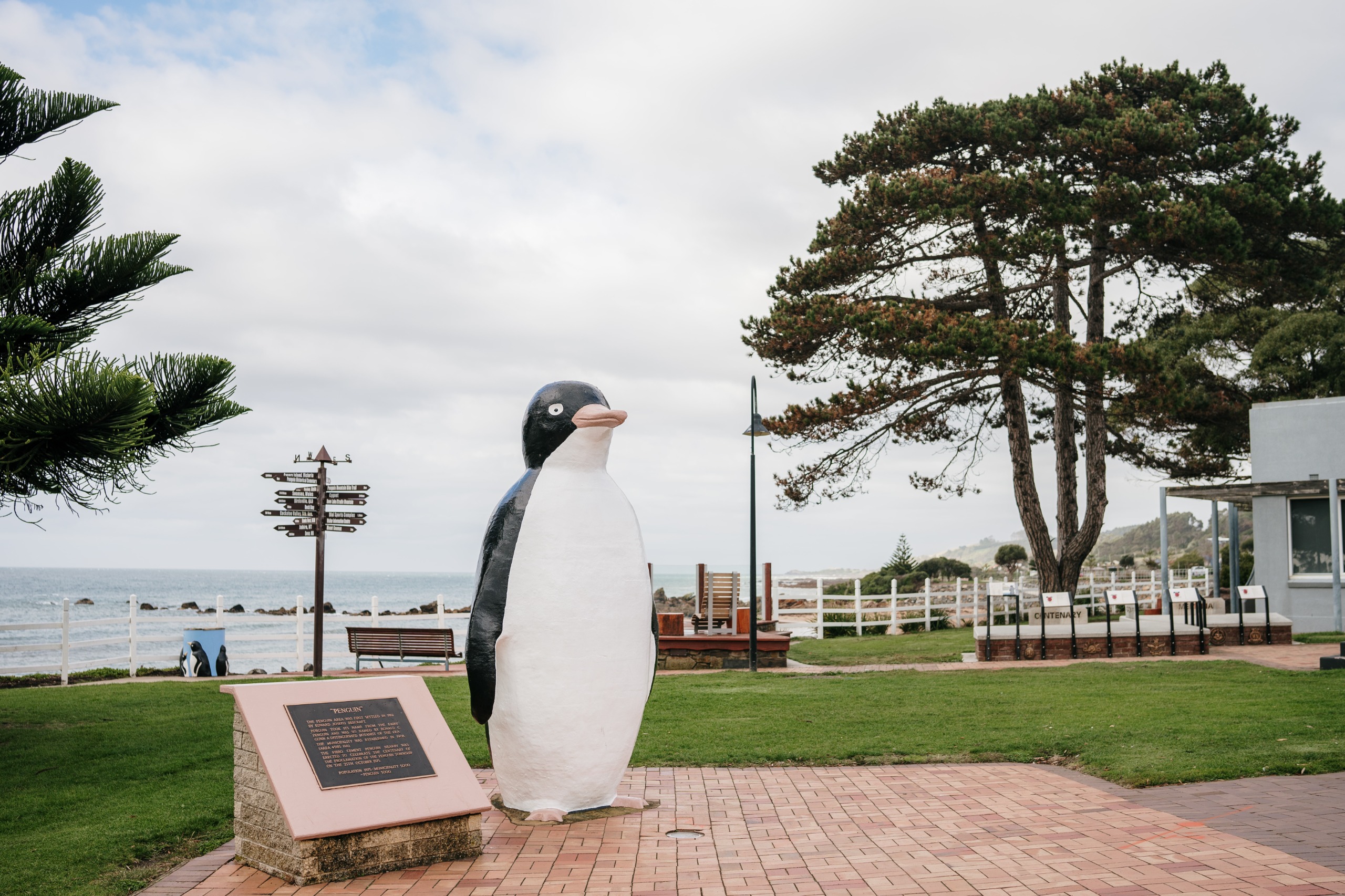 Frith Street, Penguin Water Main Renewal | Your Say